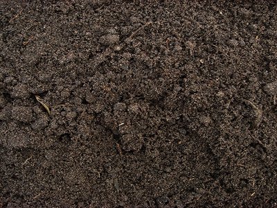 Teelaarde - Zwarte Grond - Tuinwaardig